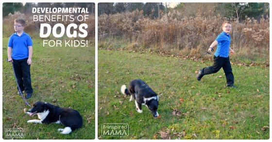 5 Developmental Benefits of a Dog for Kids