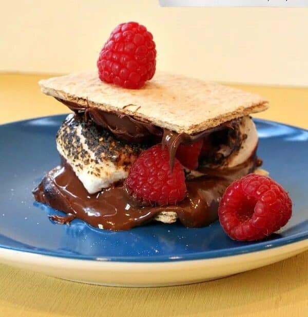 33 S mores Alternatives Better Than Traditional Smores B Inspired Mama